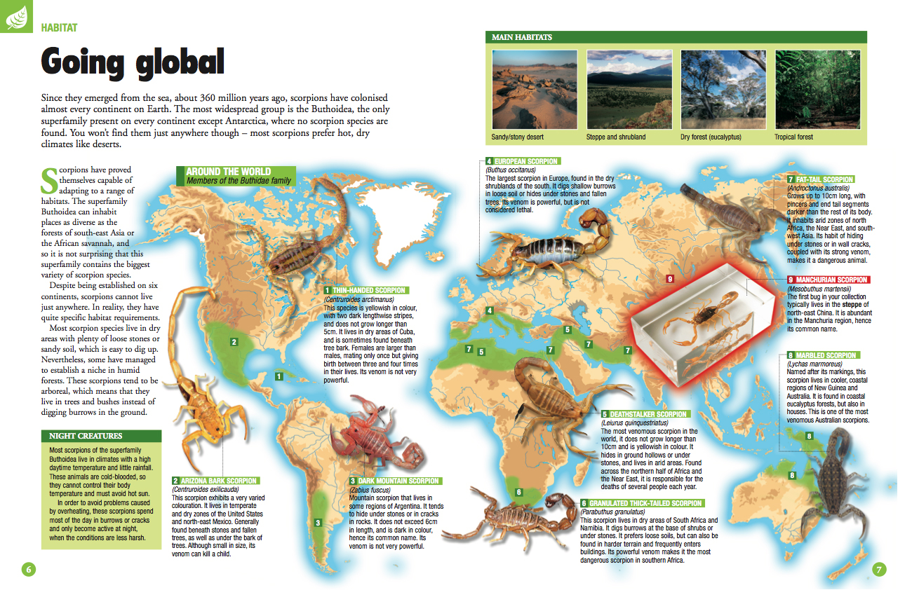 Real life Bugs - National Geographic