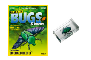 Real life Bugs - National Geographic